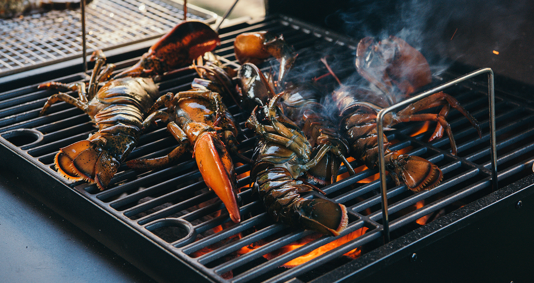 Robin Chang – Nexgrill-French-usa