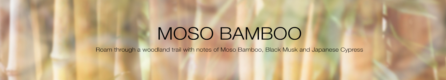 Moso Bamboo | VOLUSPA | Shop The Collection