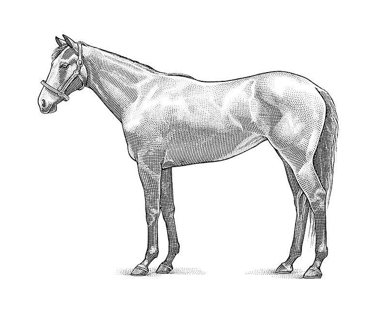 Pinhook Bourbon & Rye 2021