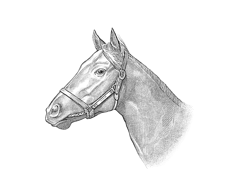 Pinhook Bourbon & Rye 2021