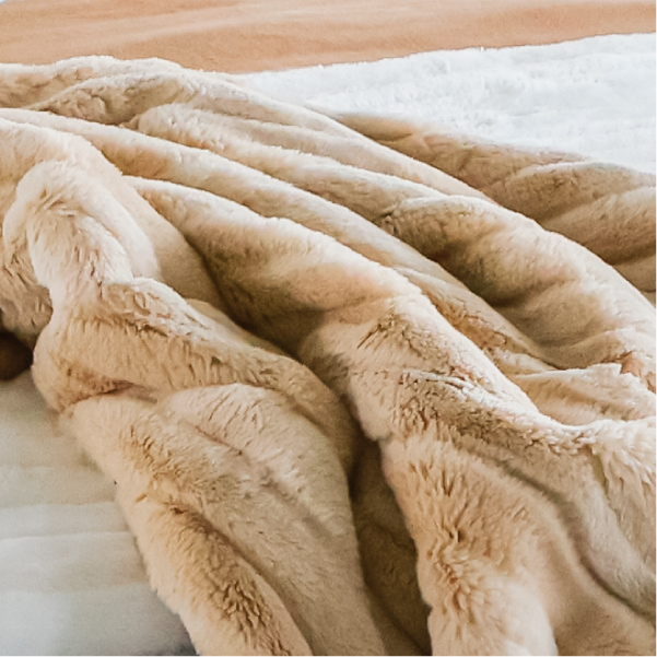 Great Prices on the Shannon Cuddle Fabric Collection