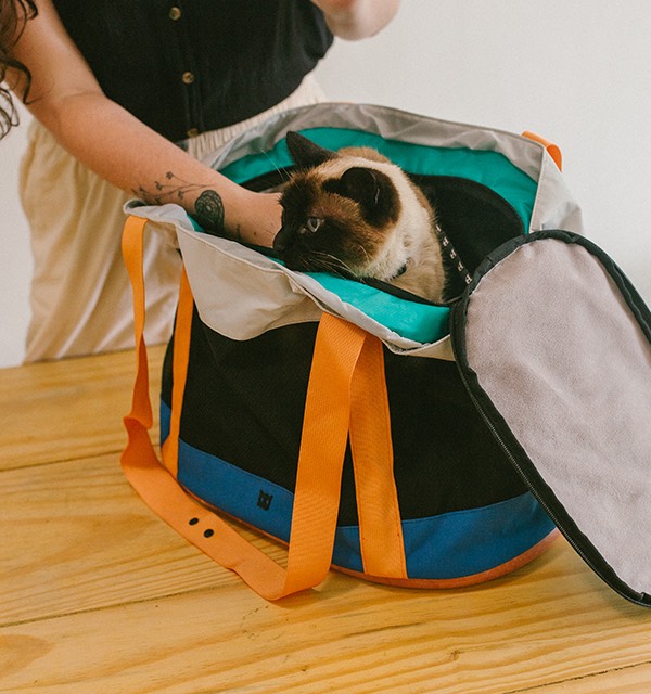 Zee.Dog | Connecting Dogs and People