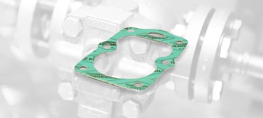 Spirax Sarco Steam Trap Gaskets