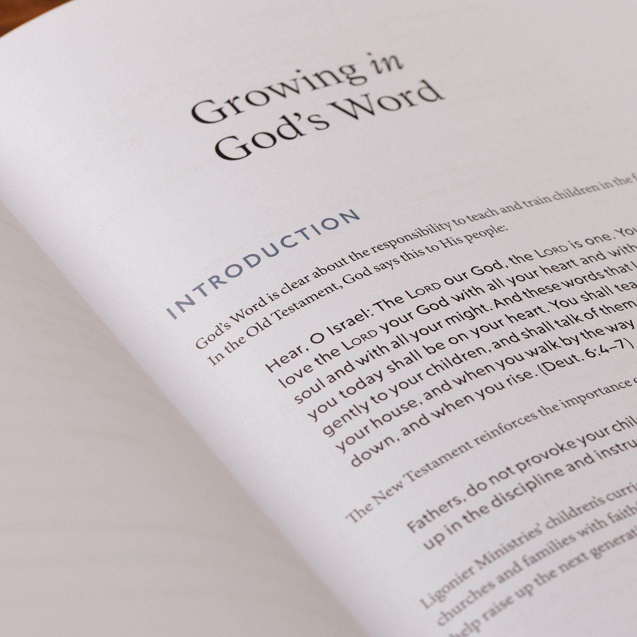 Growing in God’s Word: Presbyterian & Reformed Edition - Levels 1–3 ...