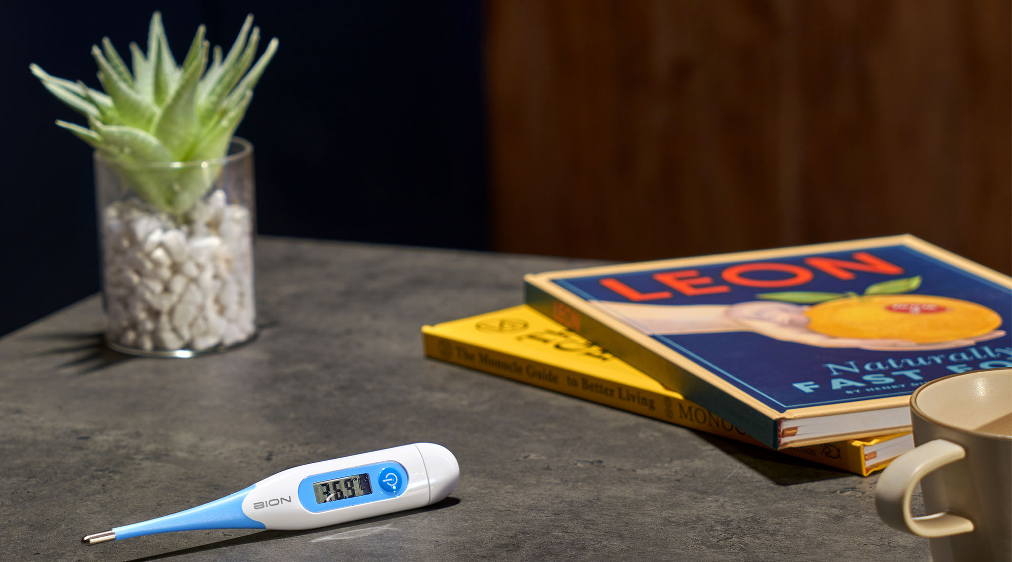 Bion Digital Oral Thermometer Model LB100 – Bion MY