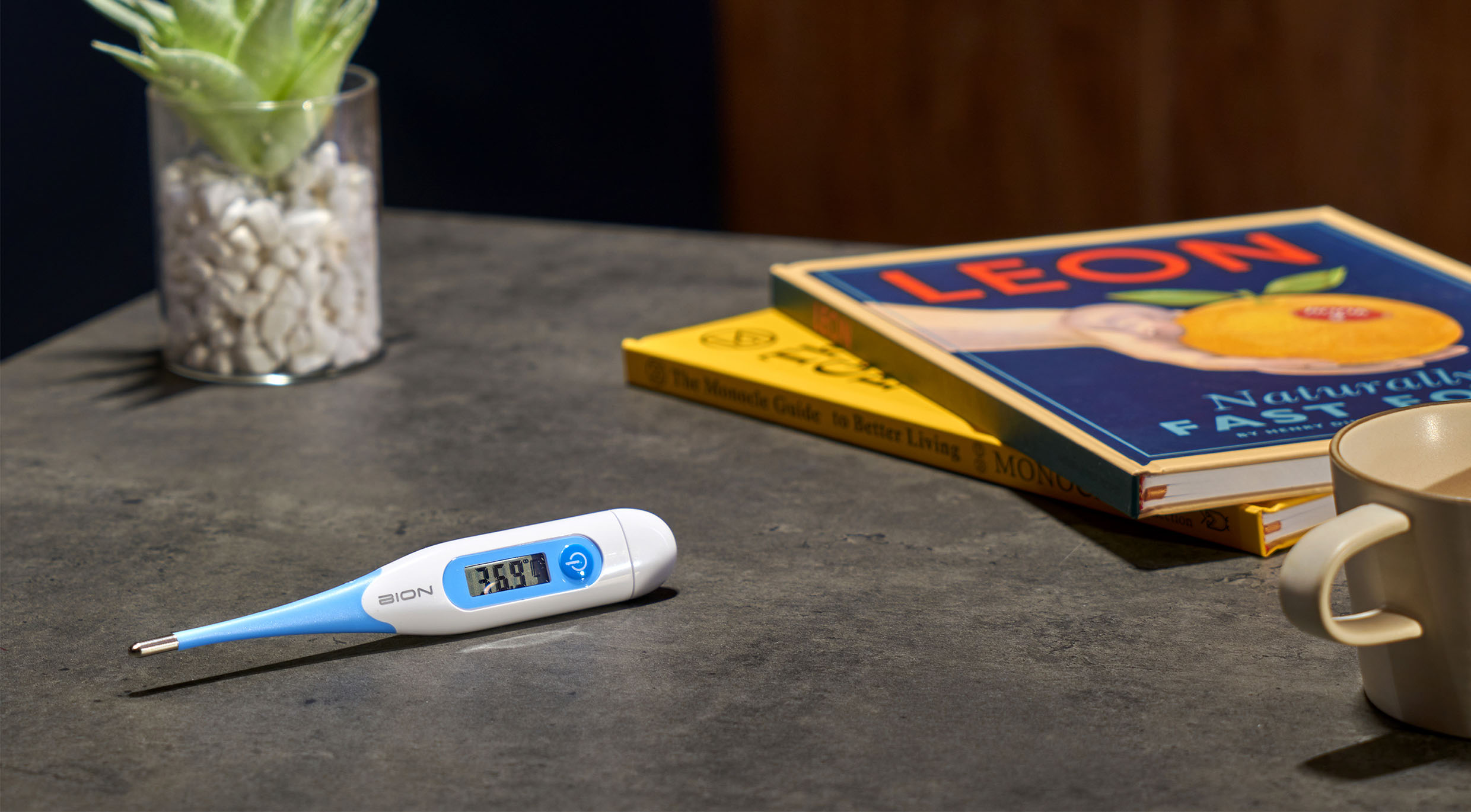 Bion Digital Oral Thermometer Model LB100 – Bion MY