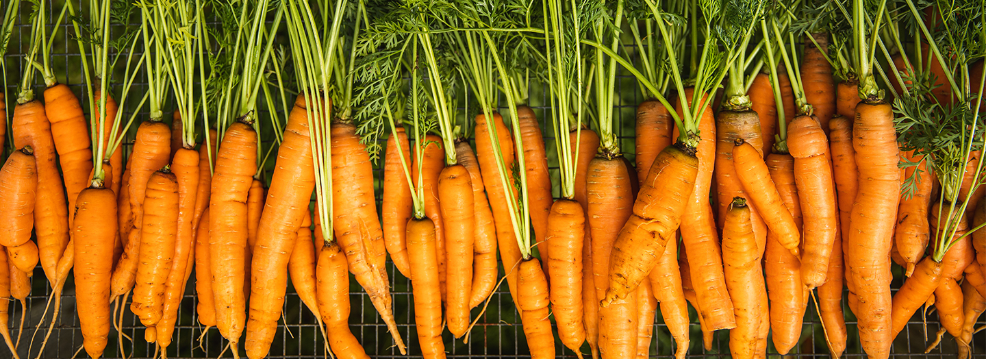 From ‘Āina to Table: The Mahele Farm Movement in Hāna, Maui | OluKai ...