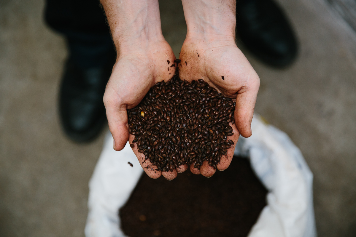 INTRODUCING COCONUT STOUT – Sharp's Brewery