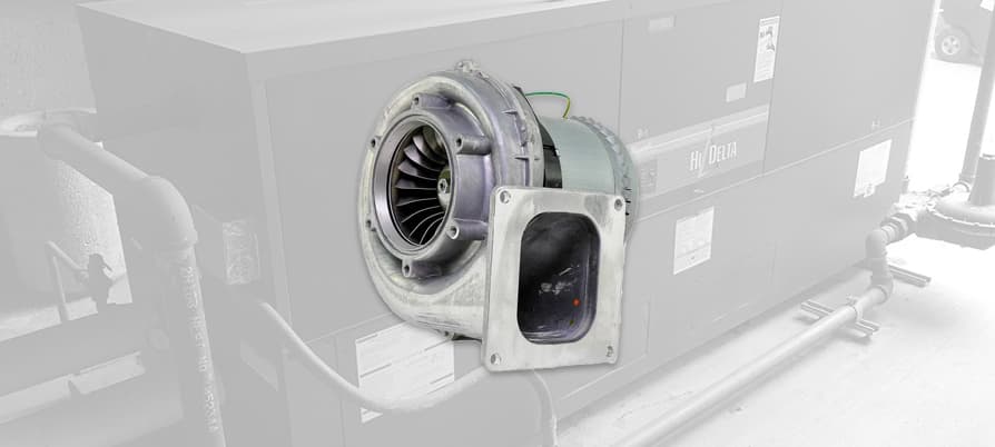 Raypak Blower Assemblies