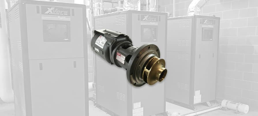 Raypak Circulator Pumps