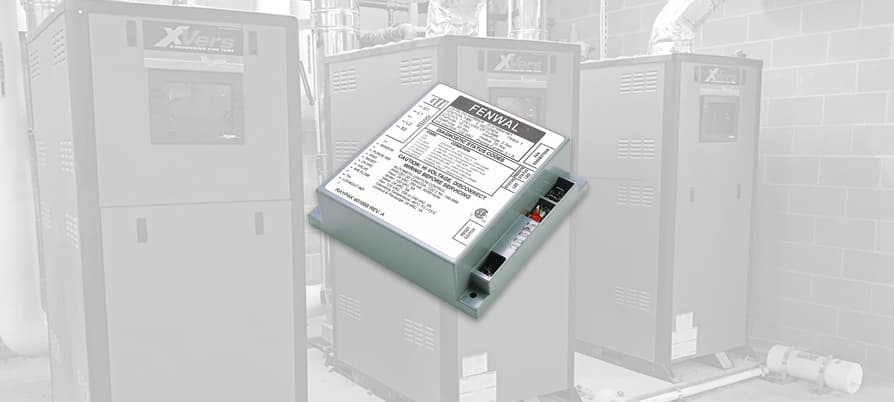 Raypak Ignition & Flame Components