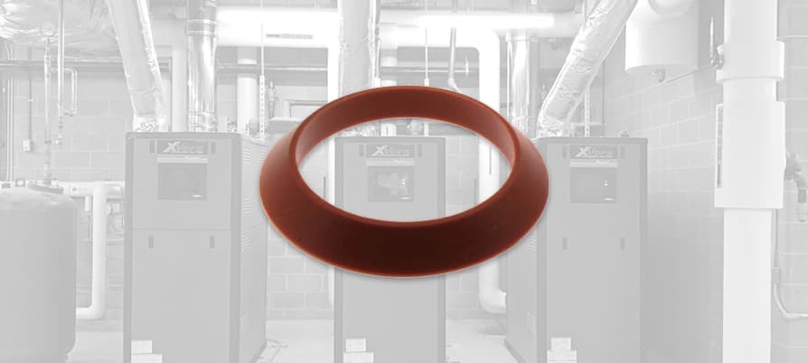 Raypak Seals & Gaskets