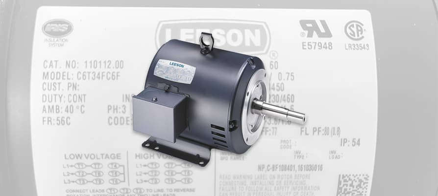 LEESON Pump Motors