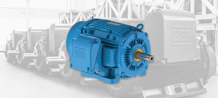 WEG DC Motors