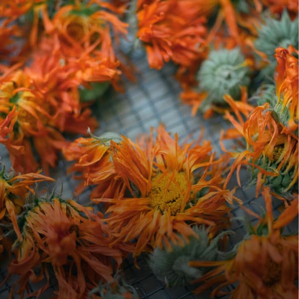 Olive Stones Peeling | KORRES Körperpflege