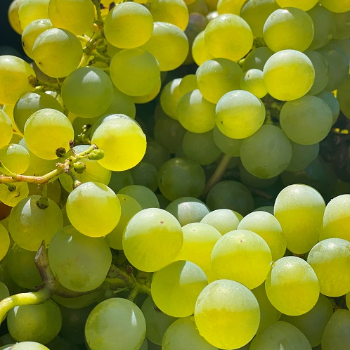 Santorini Grape hautverfeinernde Maske | KORRES