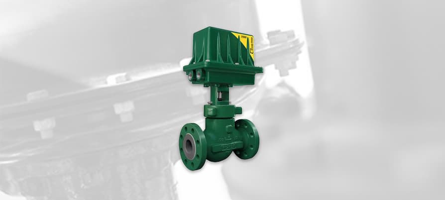Fisher Control Valves