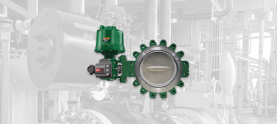 Fisher Miscellaneous Valves