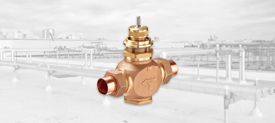 Johnson Controls Globe Valves