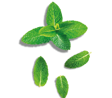 Hair Detox Kit | Curlsmith