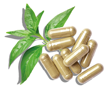 Hair Detox Kit | Curlsmith