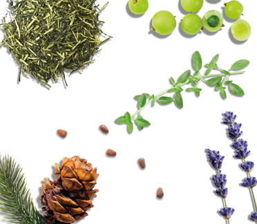 Hair Detox Kit | Curlsmith