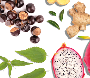 Hair Detox Kit | Curlsmith