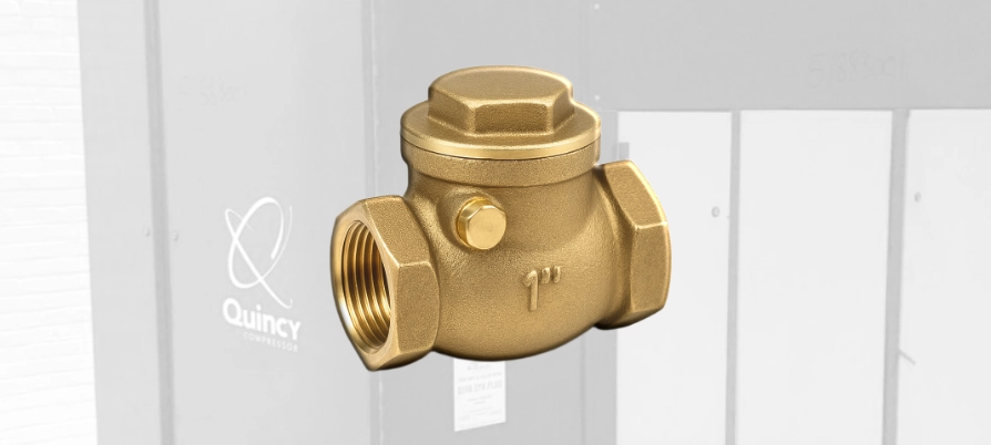 Quincy Compressor Check Valves