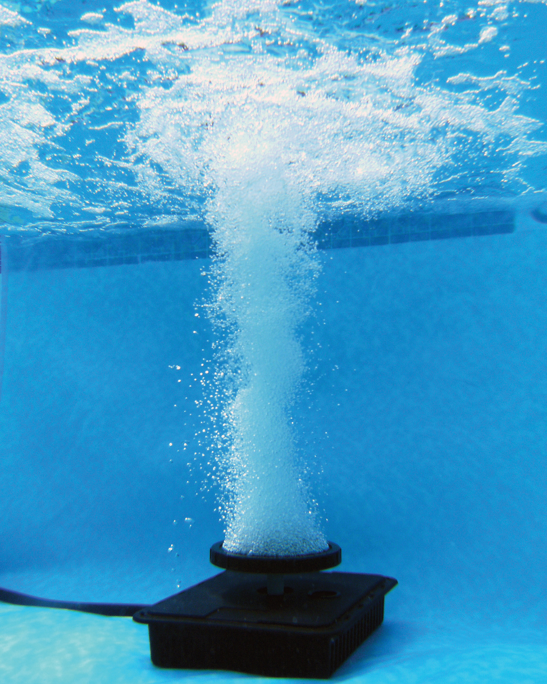 EasyPro Membrane Diffuser Assembly with Weighted Base — Great Lakes Bio ...