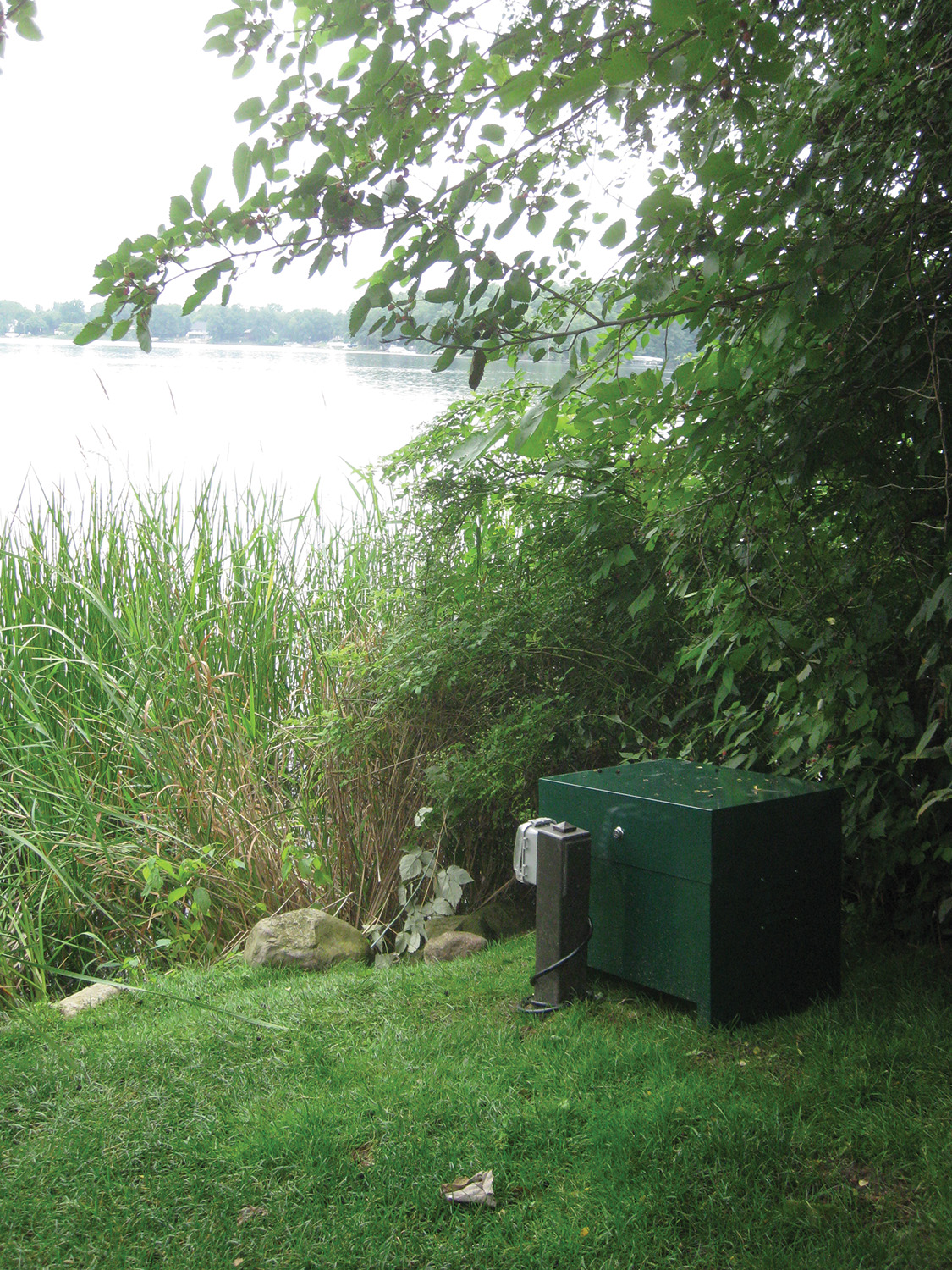 EasyPro Membrane Diffuser Assembly with Weighted Base — Great Lakes Bio ...