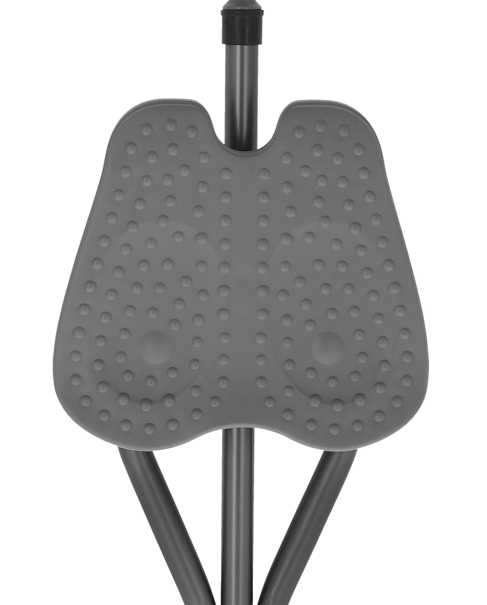 Bion Singapore Walking Aids | Walking Stick with Durable Seat Plate ...