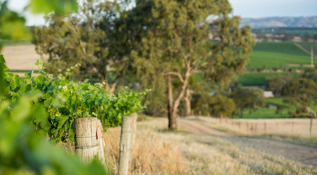 Hentley Farm（ヘントレー・ファーム） – Swirl