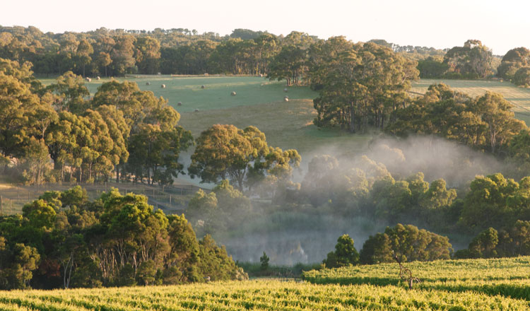Montalto – Swirl