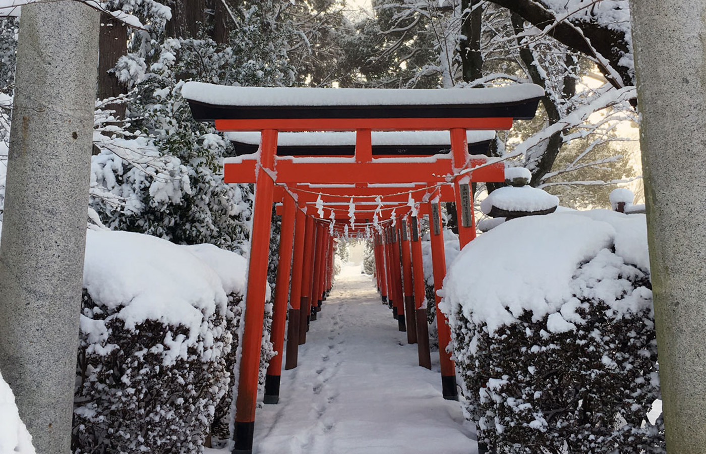 Ryujin Shuzo – SAKE MAMA | 日本酒ママ