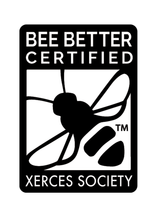 “Bee Better” Certified Almonds Protect Pollinators - Teeccino