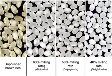 The scoop on Sake rice - Part 1 – SAKE MAMA | 日本酒ママ