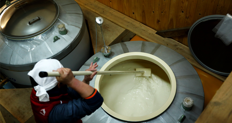 Unpasteurized Sake - "Namazake" – SAKE MAMA | 日本酒ママ