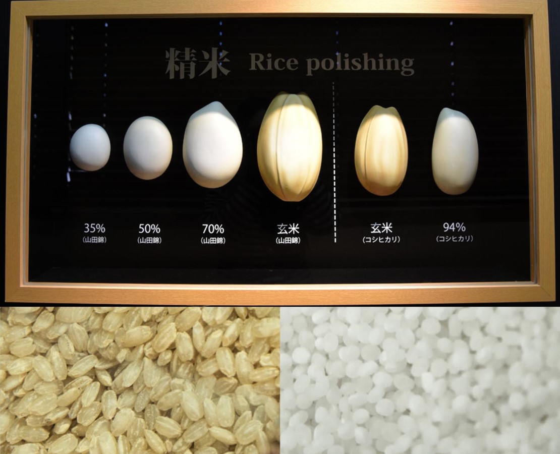 Wataribune - the revival of an Heirloom Sake Rice Varietal – SAKE MAMA ...
