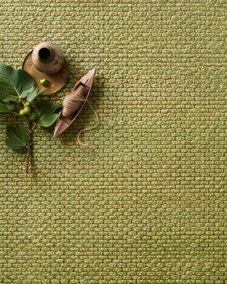 ECO & Loloi Rugs