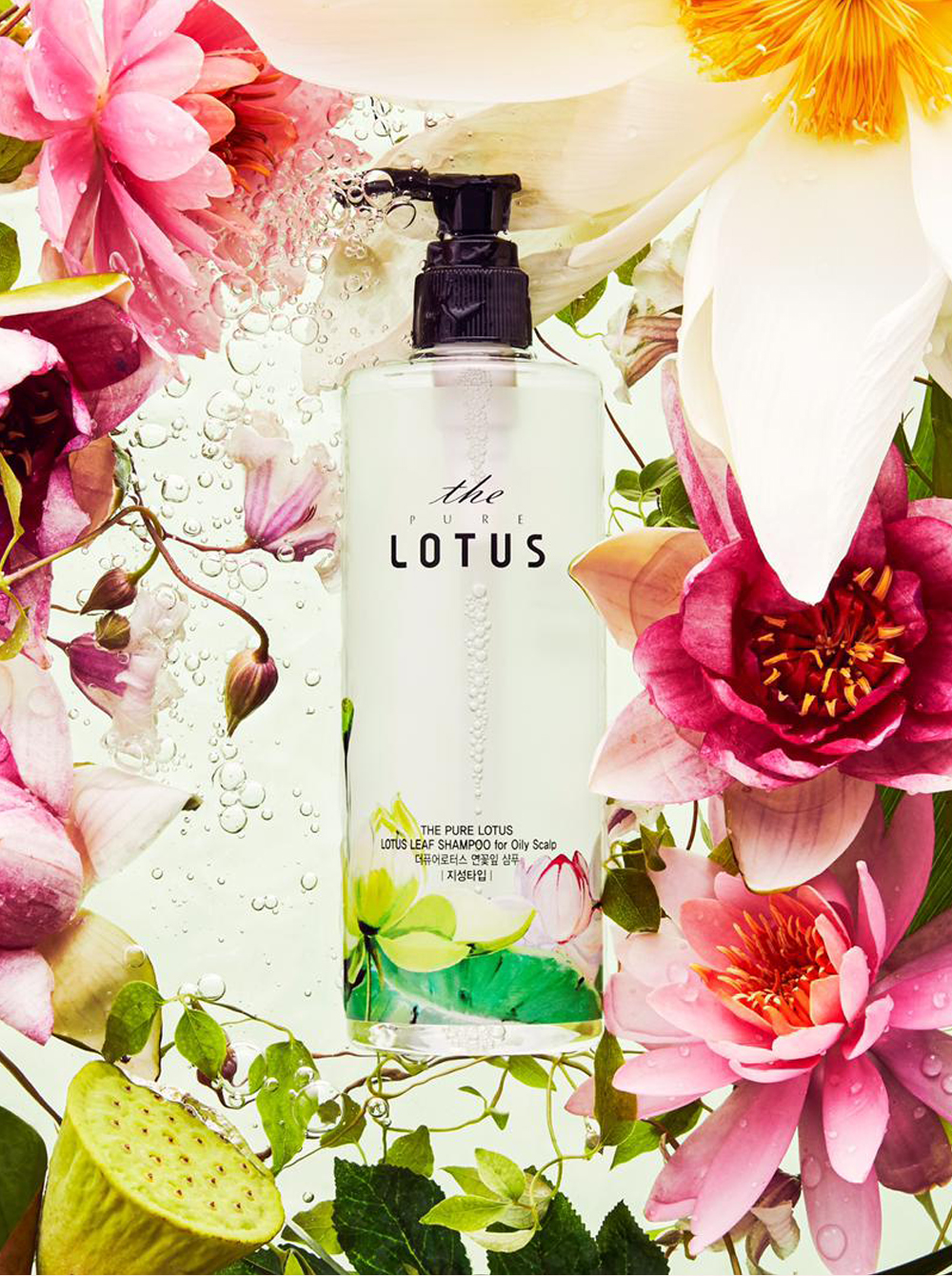 Jeju Lotus Leaf Shampoo for Oily Scalp | The Pure Lotus