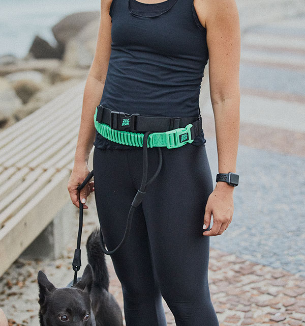 Zee.Dog | Connecting Dogs and People