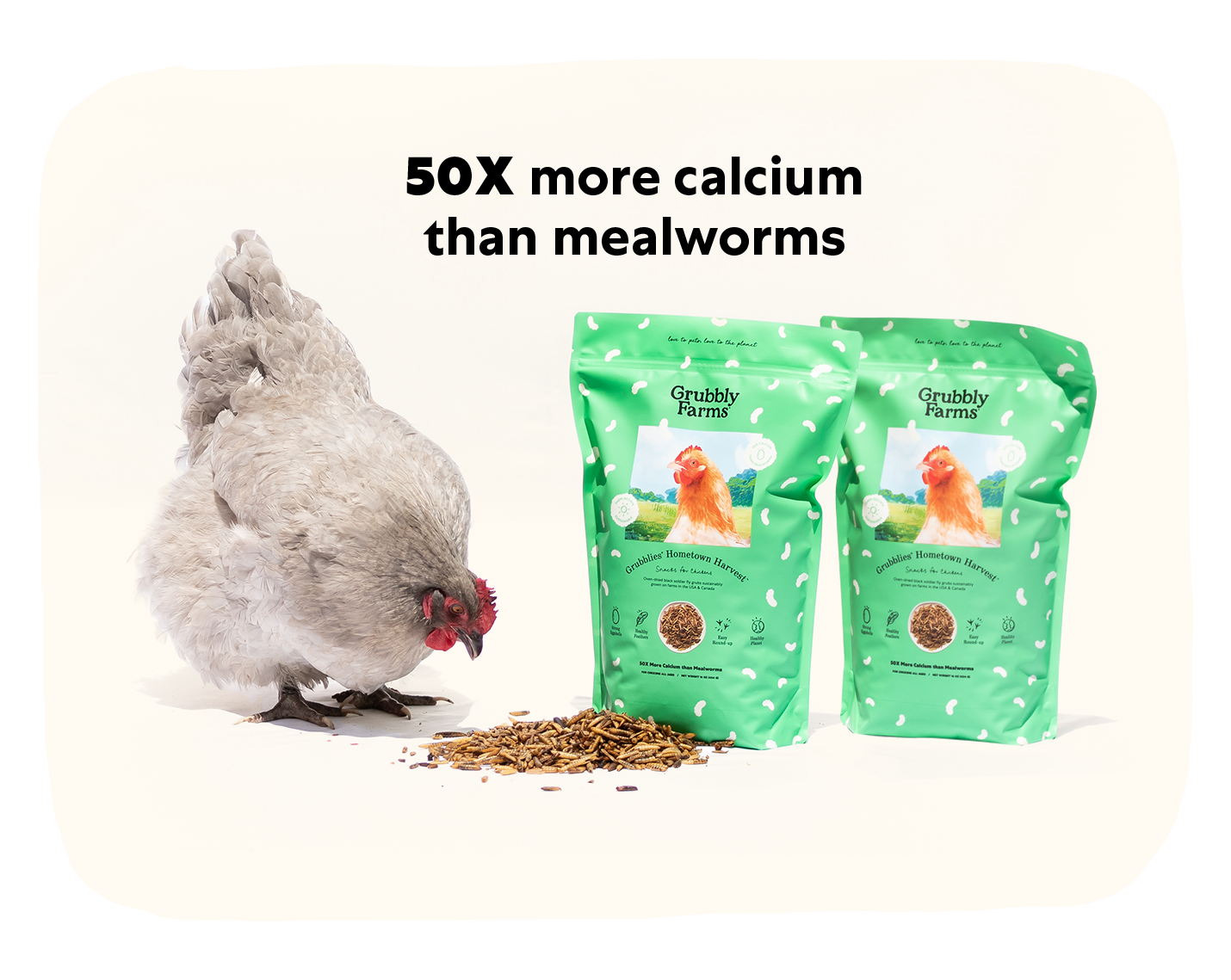 Grubblies: Dried Grubs for Chickens | High Protein Chicken Snacks