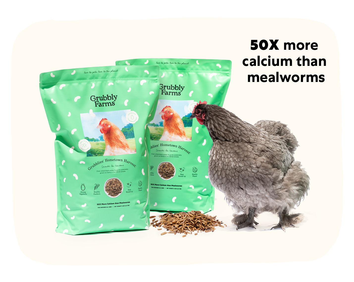 Grubblies: Dried Grubs for Chickens | High Protein Chicken Snacks