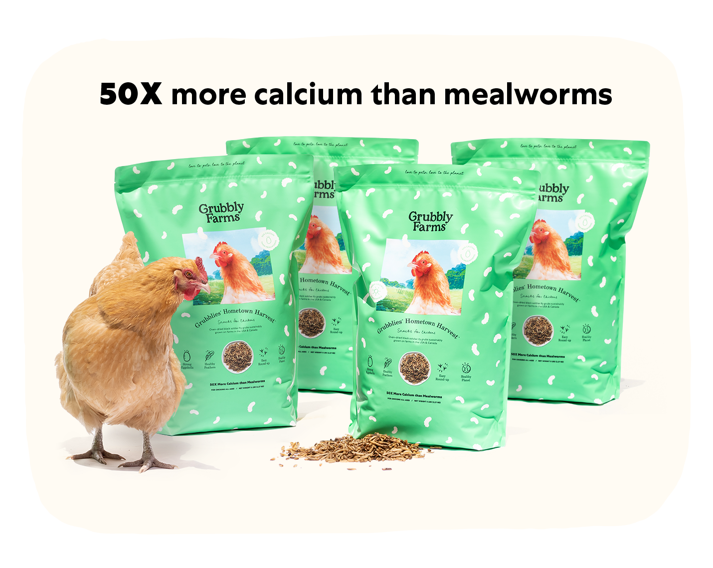 Grubblies: Dried Grubs for Chickens | High Protein Chicken Snacks