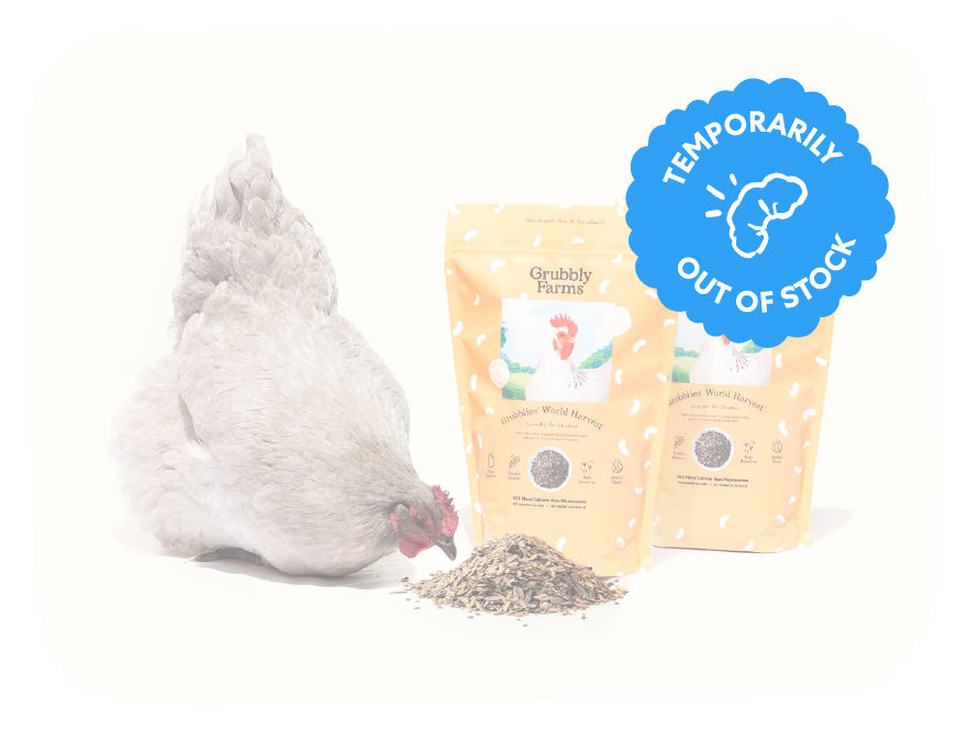Grubblies: Dried Grubs for Chickens | High Protein Chicken Snacks