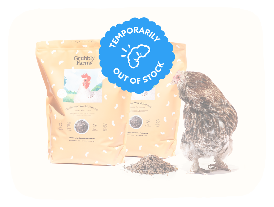 Grubblies: Dried Grubs for Chickens | High Protein Chicken Snacks