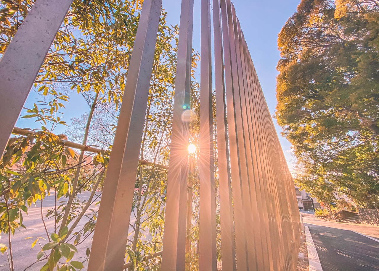 Shota Lightroom プリセット「Animated Collection」 – CURBON