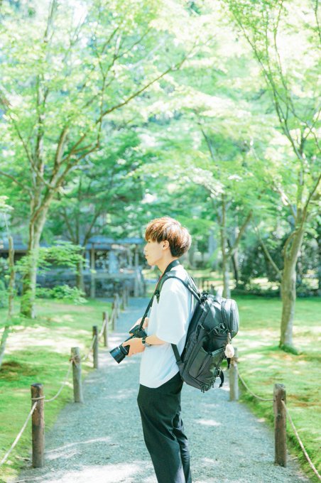 Shota Lightroom プリセット「Animated Collection」 – CURBON