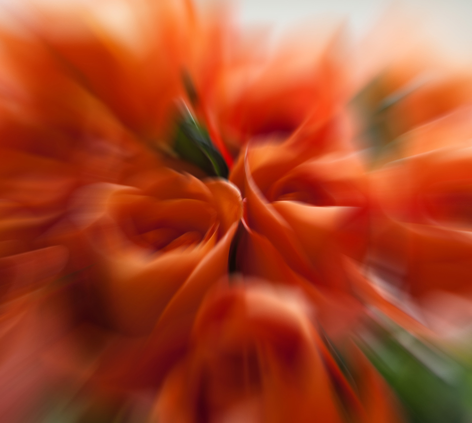 TROPHY Shine + Texture Spray – R+Co