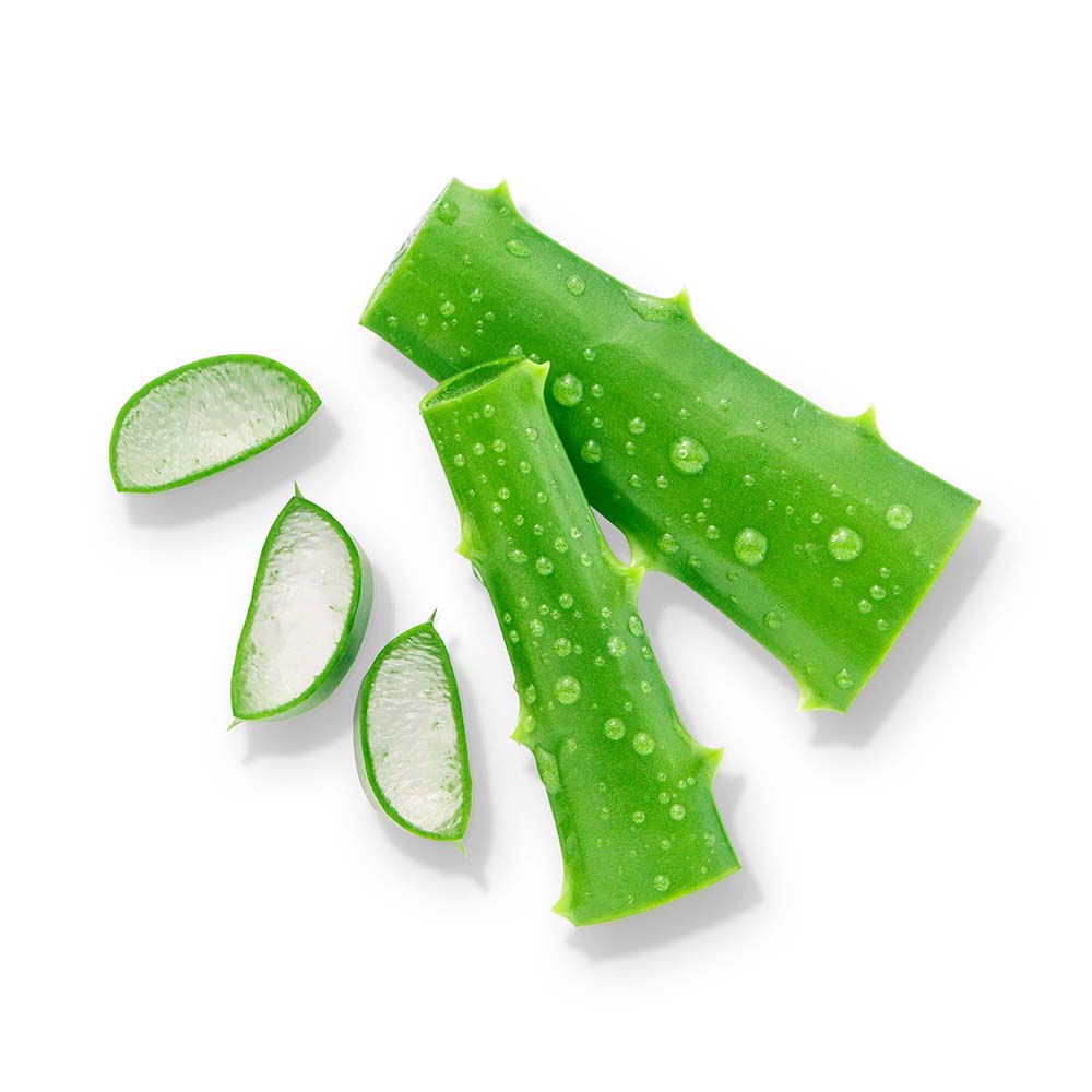 Wavy Discovery Kit – Curlsmith USA